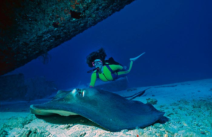 Bimini Fishing and Diving is World Famous | sol y mar magazine