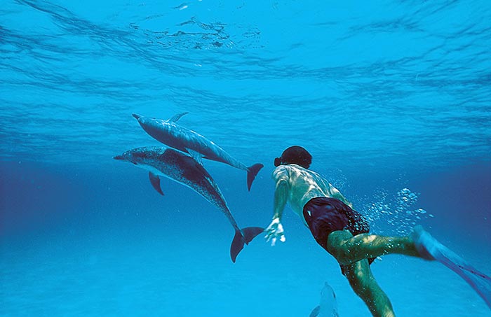 Bimini Fishing and Diving is World Famous | sol y mar magazine