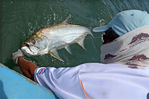 Pesca de Sábalo, deporte extremo en Costa Rica | sol y mar magazine