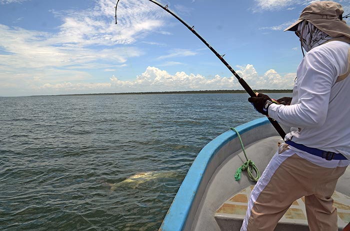 Pesca de Sábalo, deporte extremo en Costa Rica | sol y mar magazine