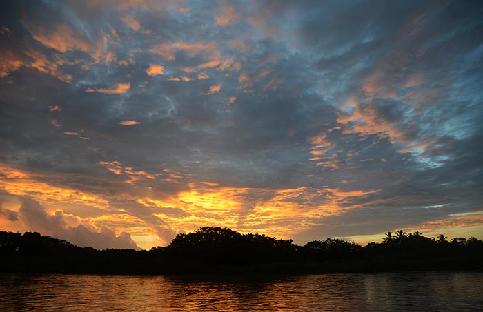 Pesca de Sábalo, deporte extremo en Costa Rica | sol y mar magazine