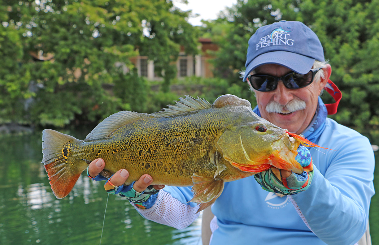 Exotic Fish are Proliferating in the Everglades Climate Change May Be ...