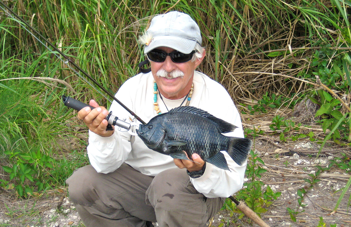 Exotic Fish are Proliferating in the Everglades Climate Change May Be ...