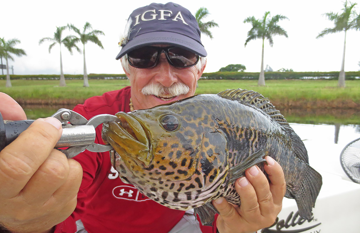 Exotic Fish are Proliferating in the Everglades Climate Change May Be ...