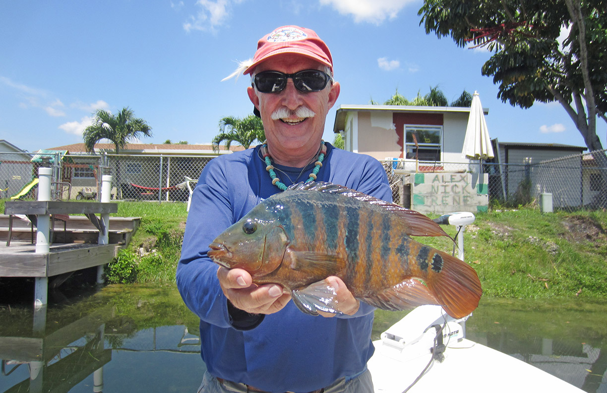 Exotic Fish are Proliferating in the Everglades Climate Change May Be ...