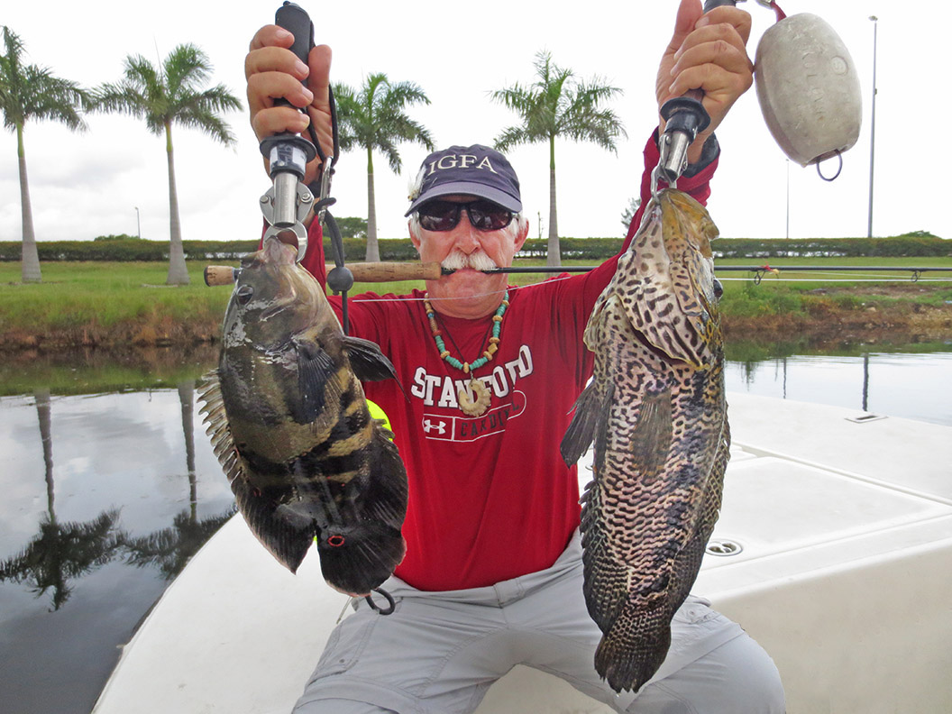 Exotic Fish are Proliferating in the Everglades Climate Change May Be ...