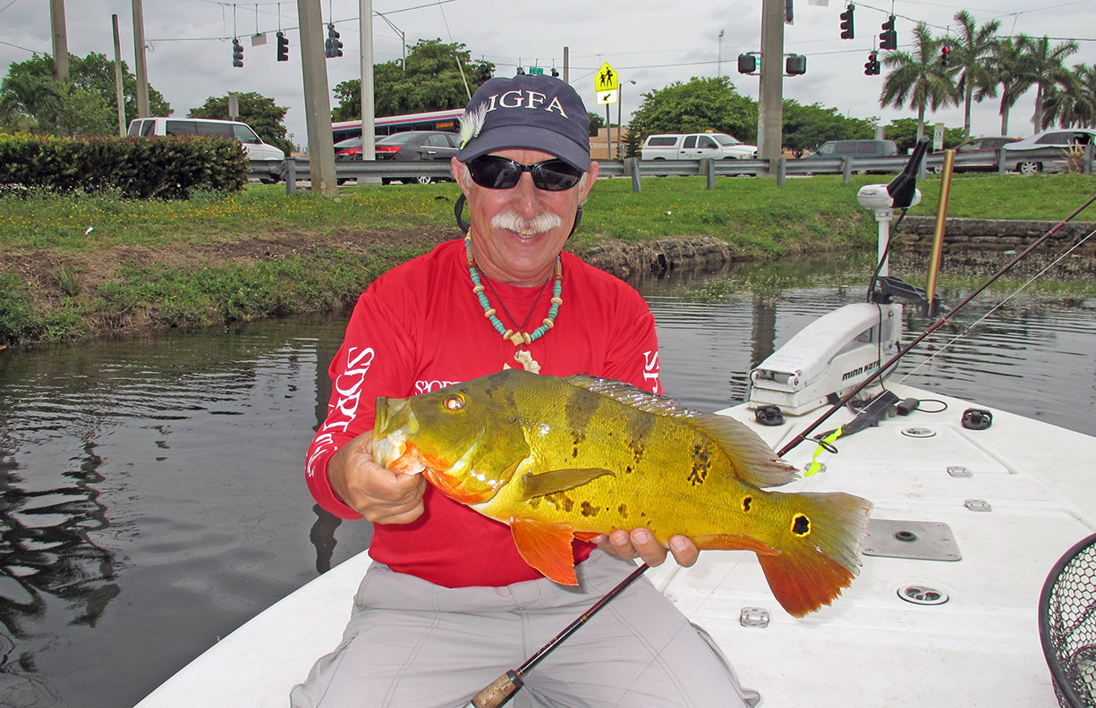 Exotic Fish are Proliferating in the Everglades Climate Change May Be ...