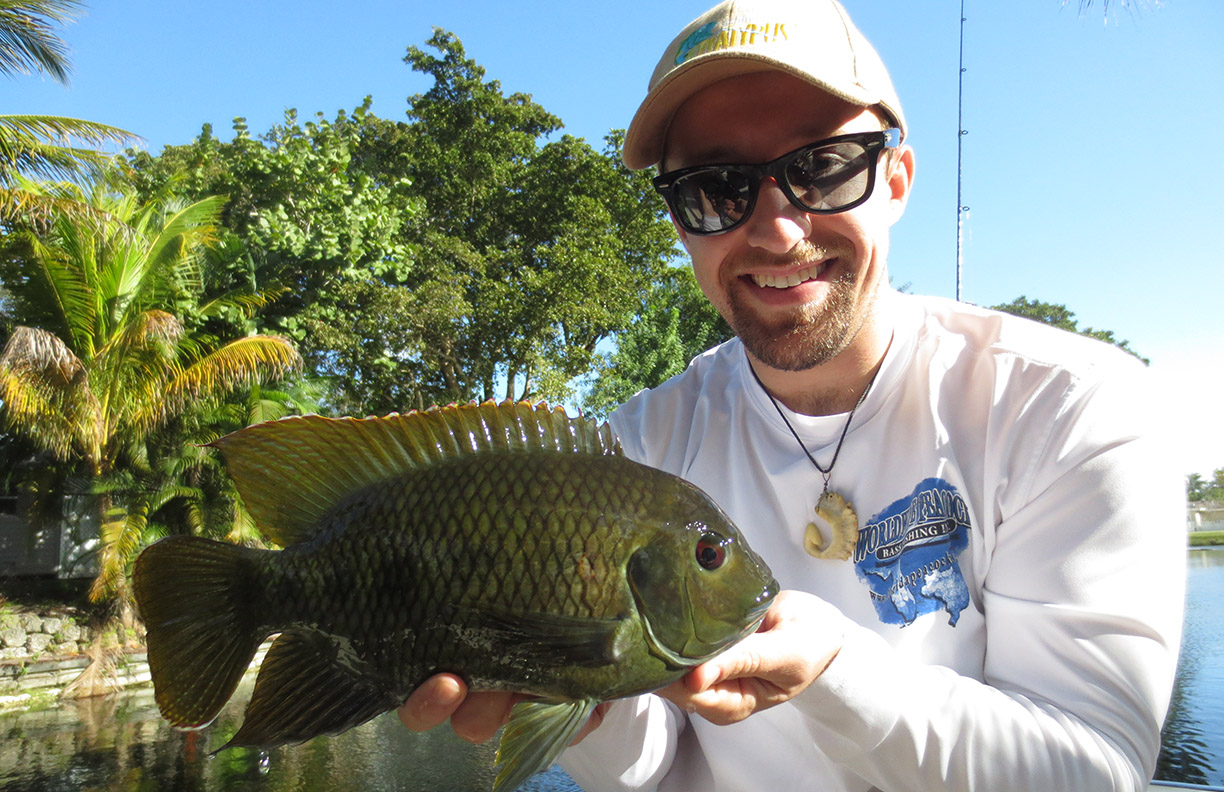 Exotic Fish are Proliferating in the Everglades Climate Change May Be ...