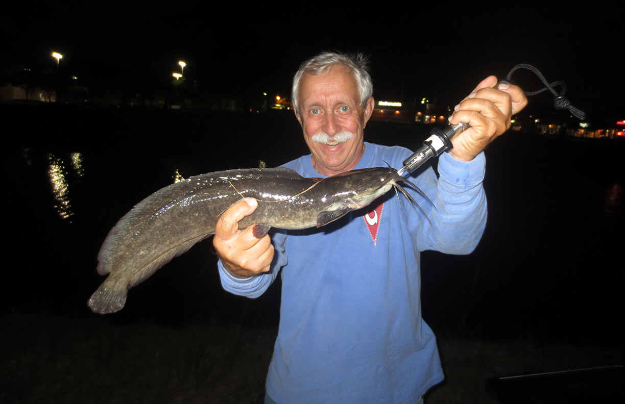 Exotic Fish are Proliferating in the Everglades Climate Change May Be ...