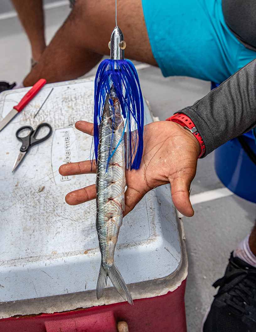 Fly Fishing for Marlin in the Galapagos Islands | sol y mar magazine