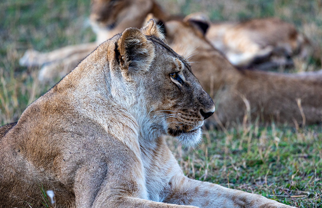 _AF_6588 | sol y mar magazine