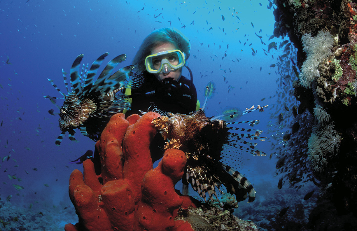 Stephen Frink, el fotógrafo submarino más famoso del mundo | sol y mar ...