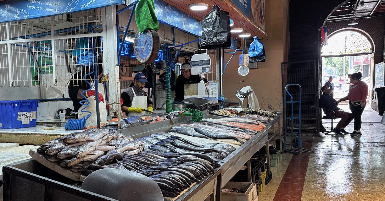 Markets of the World Mercado Central Santiago Chile | sol y mar magazine